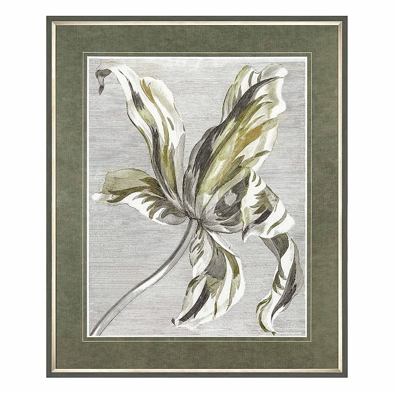 Tulip Bloom Wall Art, by Johan Teyler | Decorative Tulip Bloom Framed ...